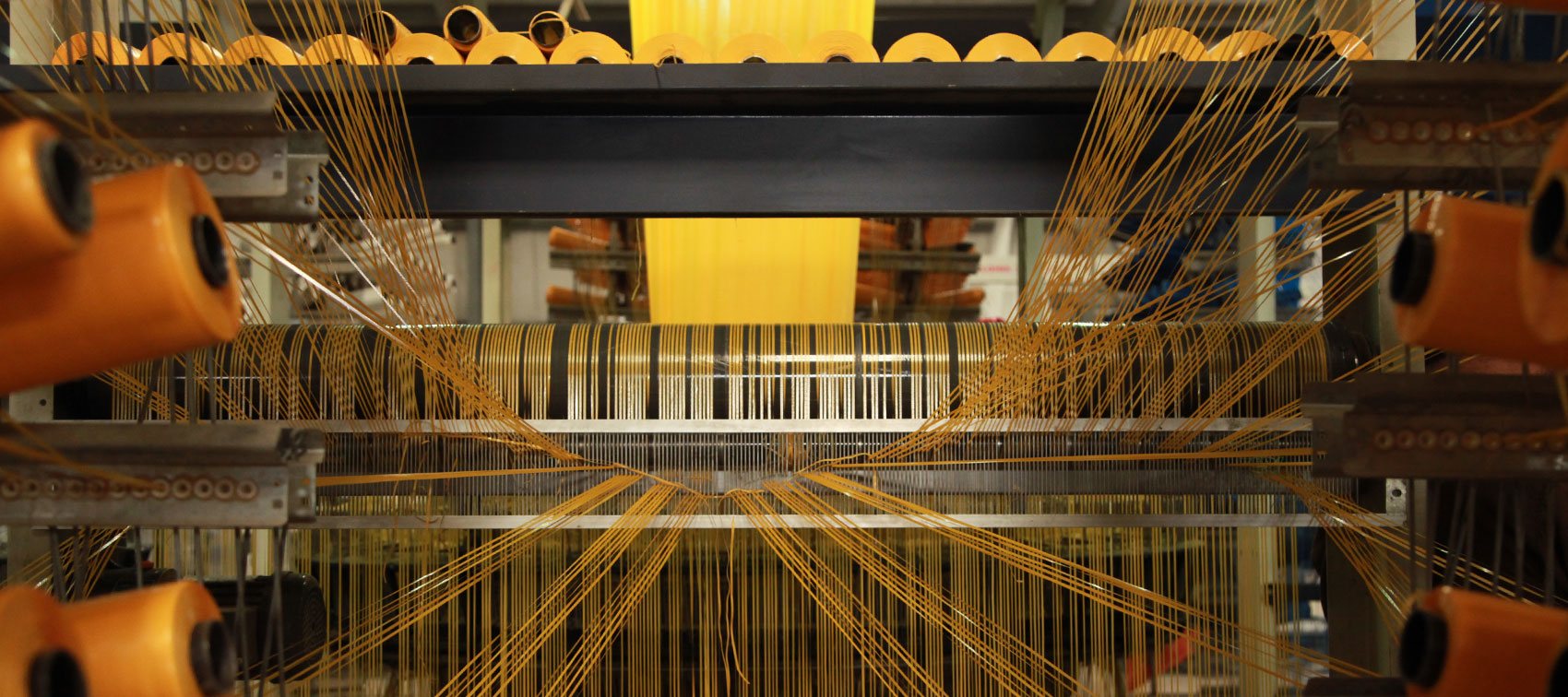 Reliance Petrochemical Industry